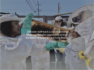 The Stillwater Community – Stillwater Sciences