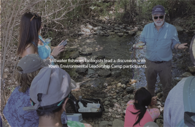 The Stillwater Community – Stillwater Sciences